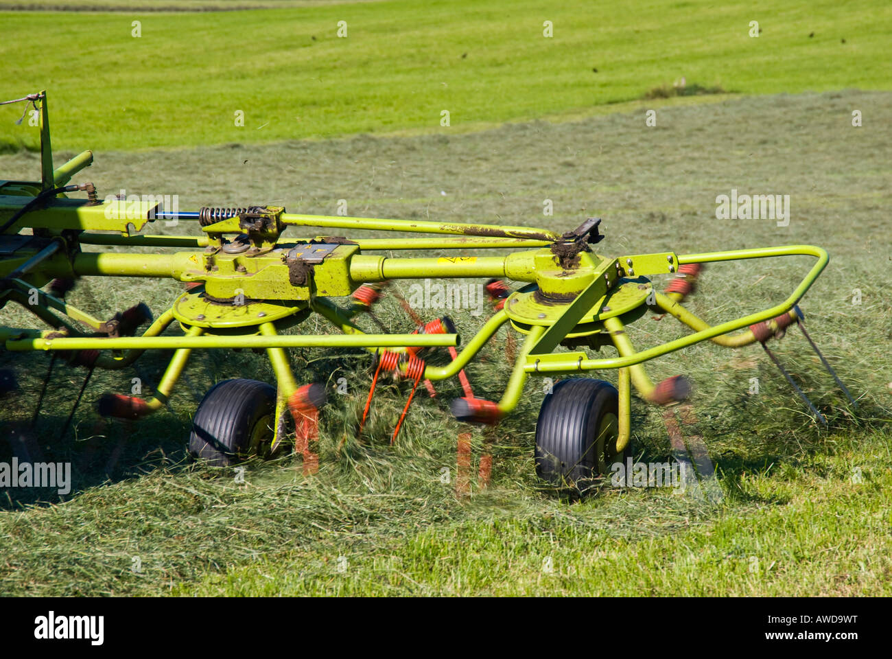 Tractor making hay on the meadows Stock Photo - Alamy