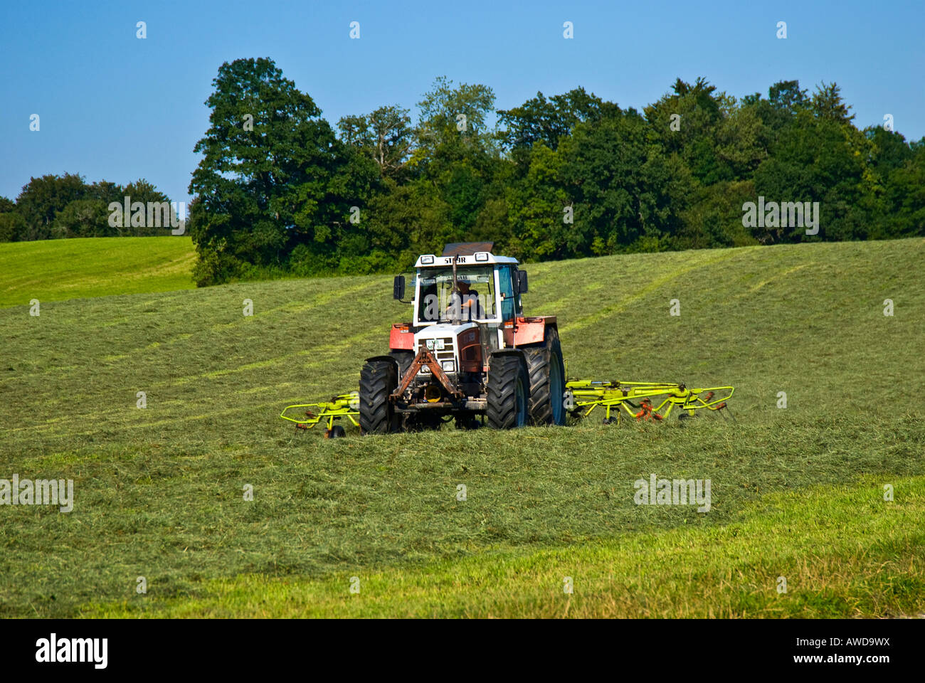 Tractor making hay on the meadows Stock Photo - Alamy