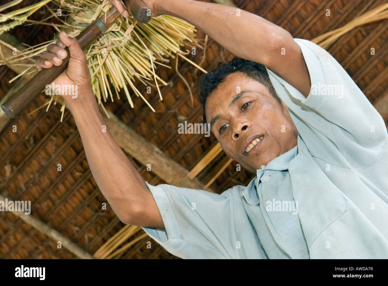 Farmer flailing rice ears, Koh Kong Province, Cambodia Stock Photo - Alamy