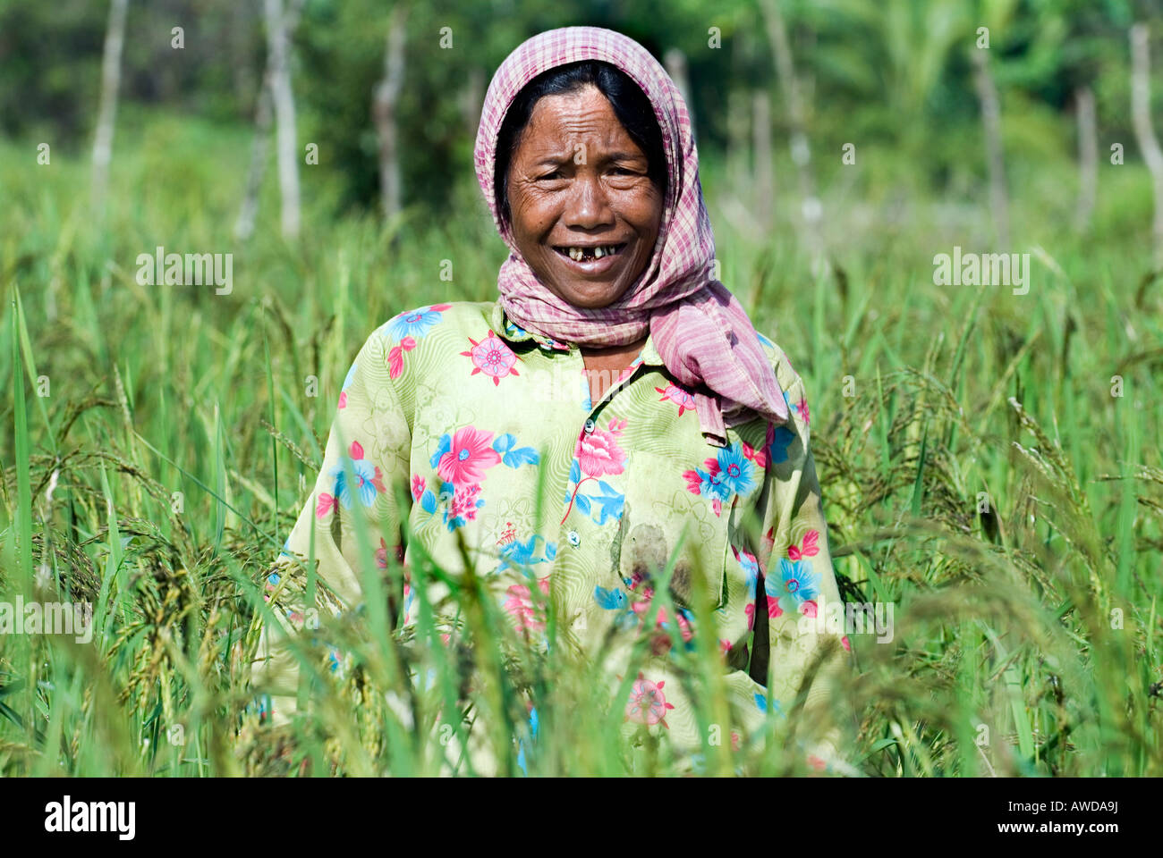 Old farmers hi-res stock photography and images - Alamy