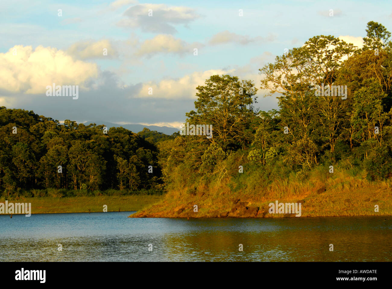 PERIYAR TIGER RESERVE IN THEKKADY KERALA Stock Photo - Alamy