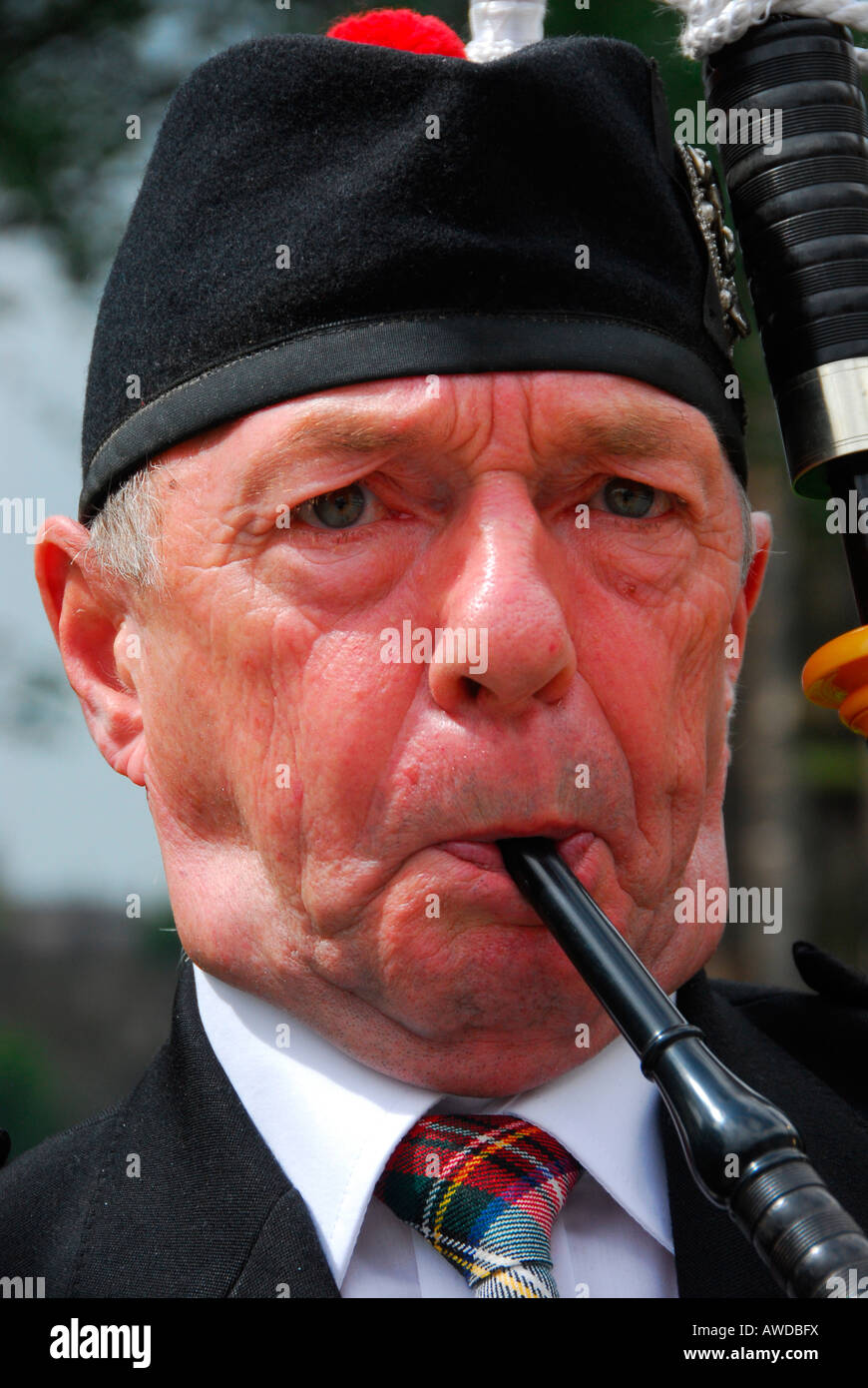 Scotsman scottish bagpiper playing bagpipes hi-res stock photography ...