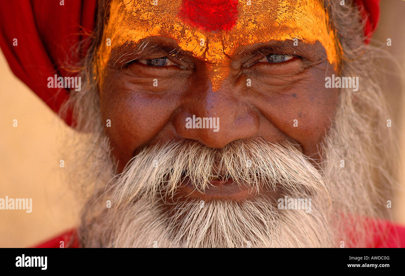 Monk (Sadhu), Amber, Rajasthan, India Stock Photo - Alamy