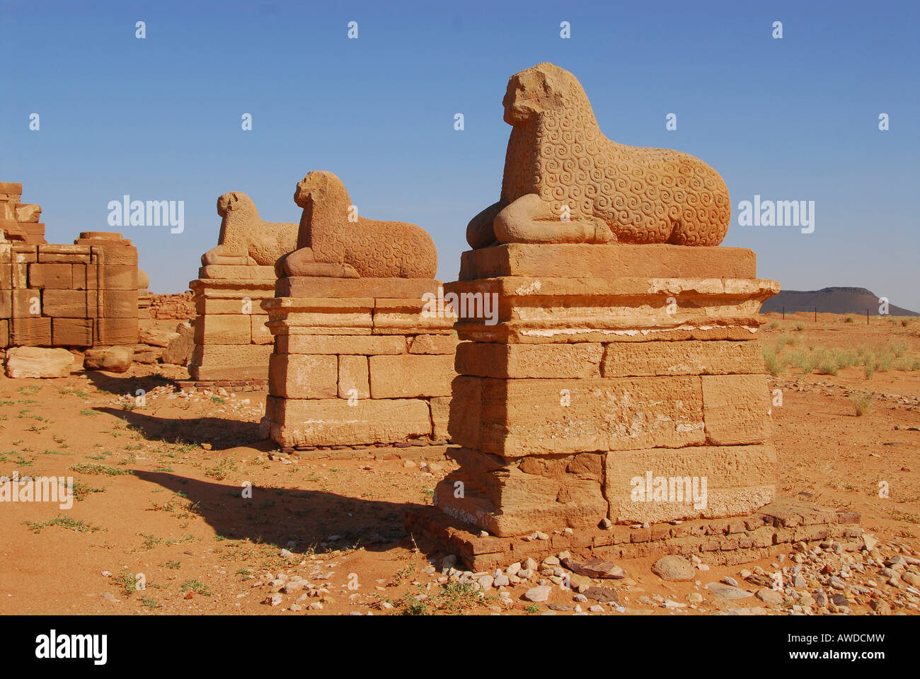 Temple for the god Amun, Naga, Sudan, Africa Stock Photo - Alamy
