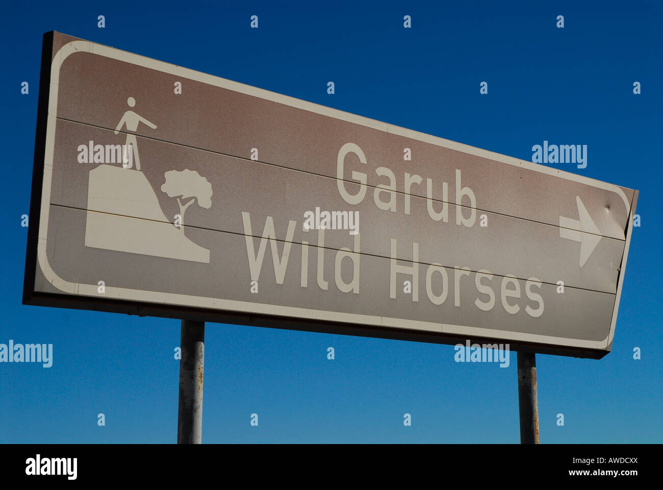 Sign, "Garub Wild Horses" (wild horses of the Namib Desert), Garub ...