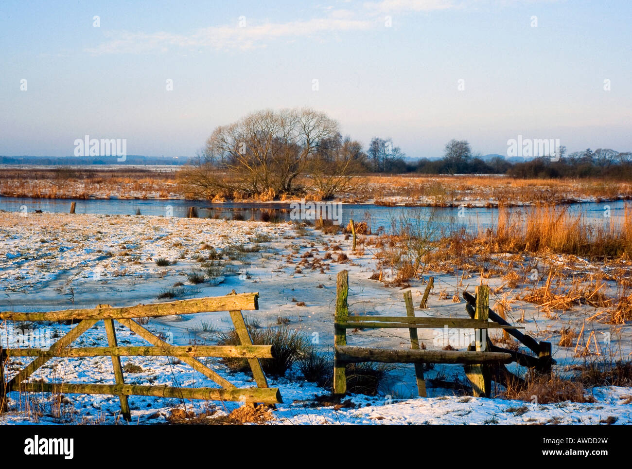Osterholz Scharmbeck, nature reserve Breites Wasser, Worpswede, Lower ...