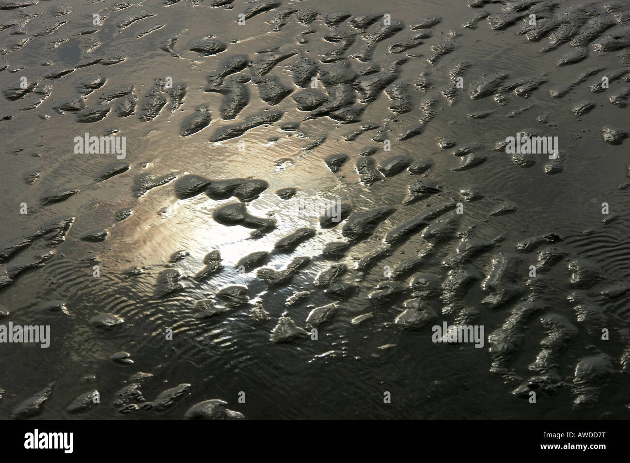 Mudflat, ribbed sand, Cuxhaven, Germany Stock Photo - Alamy