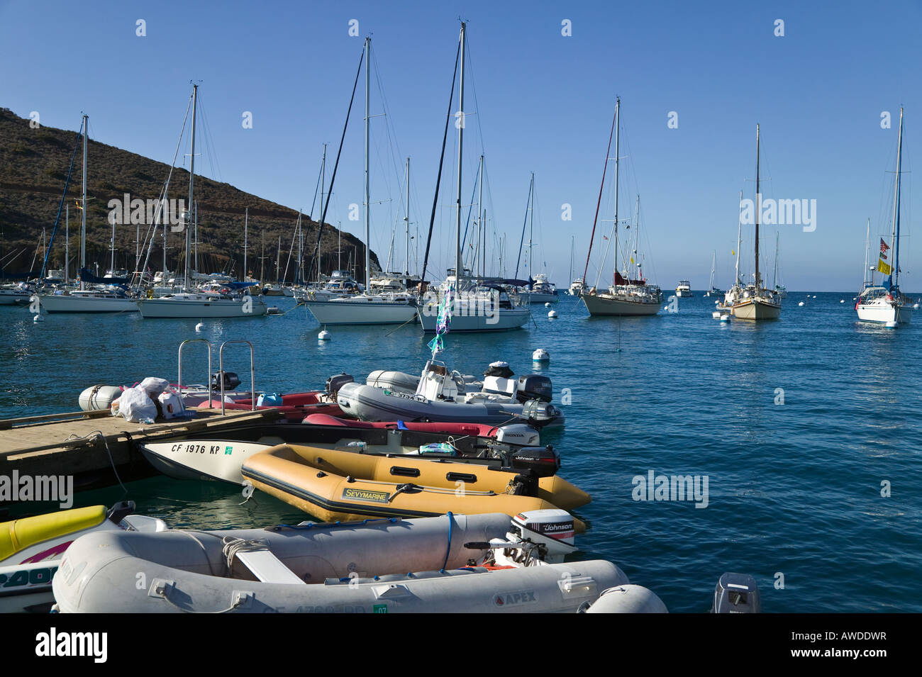 Two Harbors, Santa Catalina Island Channel Islands, California, USA ...
