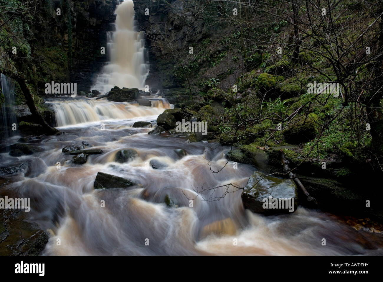 Mill Gill Force near Askrigg in Wensleydale Stock Photo - Alamy