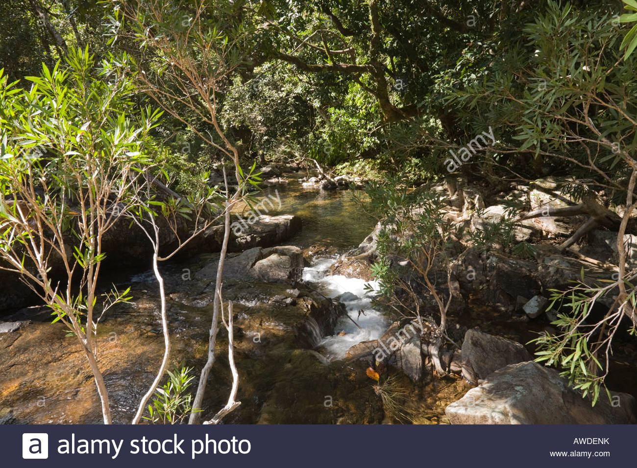 Paluma Range National Park Stock Photos & Paluma Range National Park ...