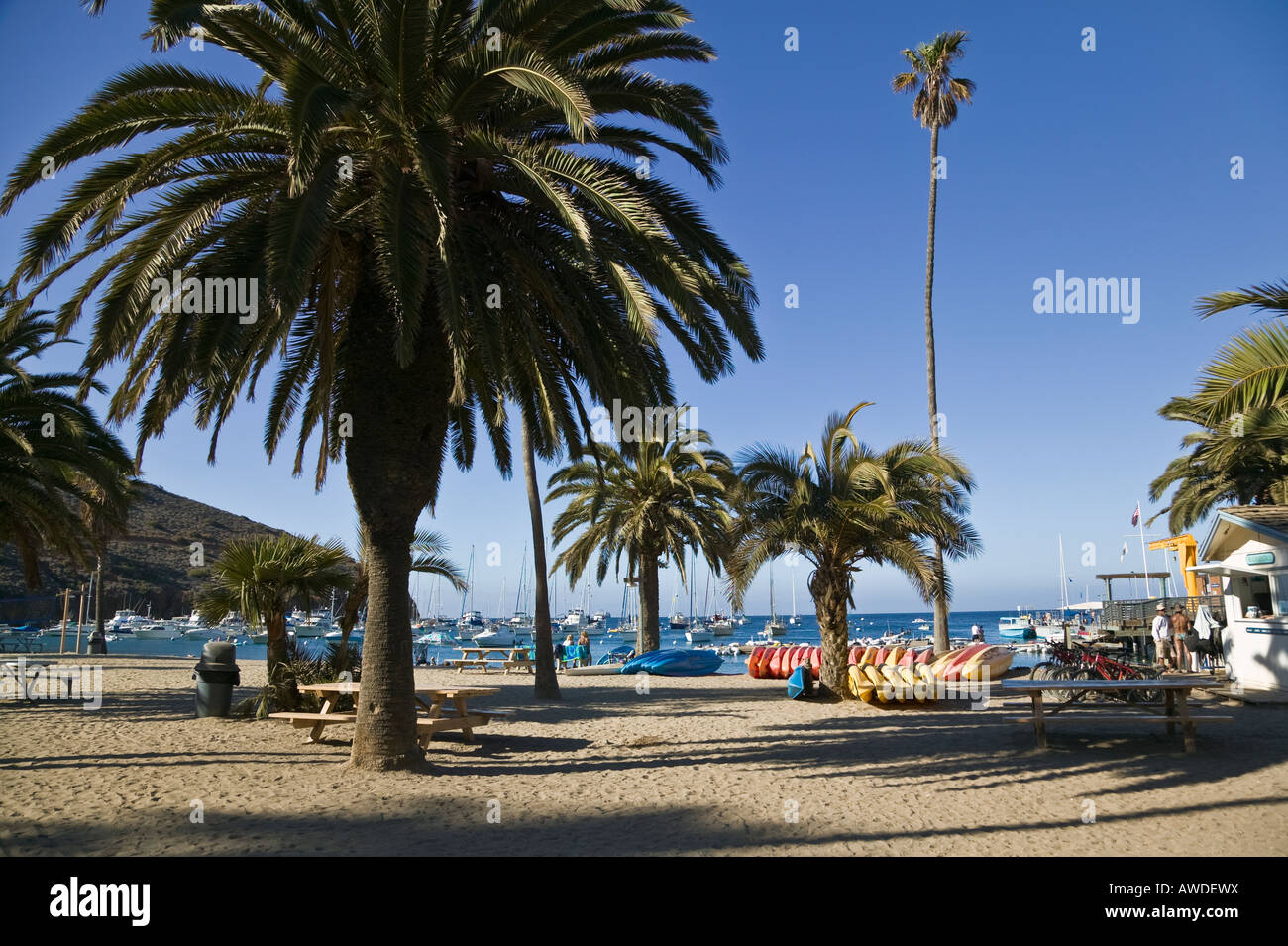 Two Harbors Catalina California High Resolution Stock Photography and ...
