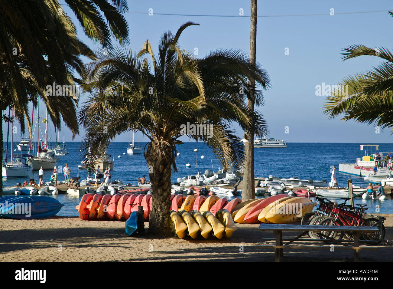 Two Harbors Catalina California High Resolution Stock Photography and ...