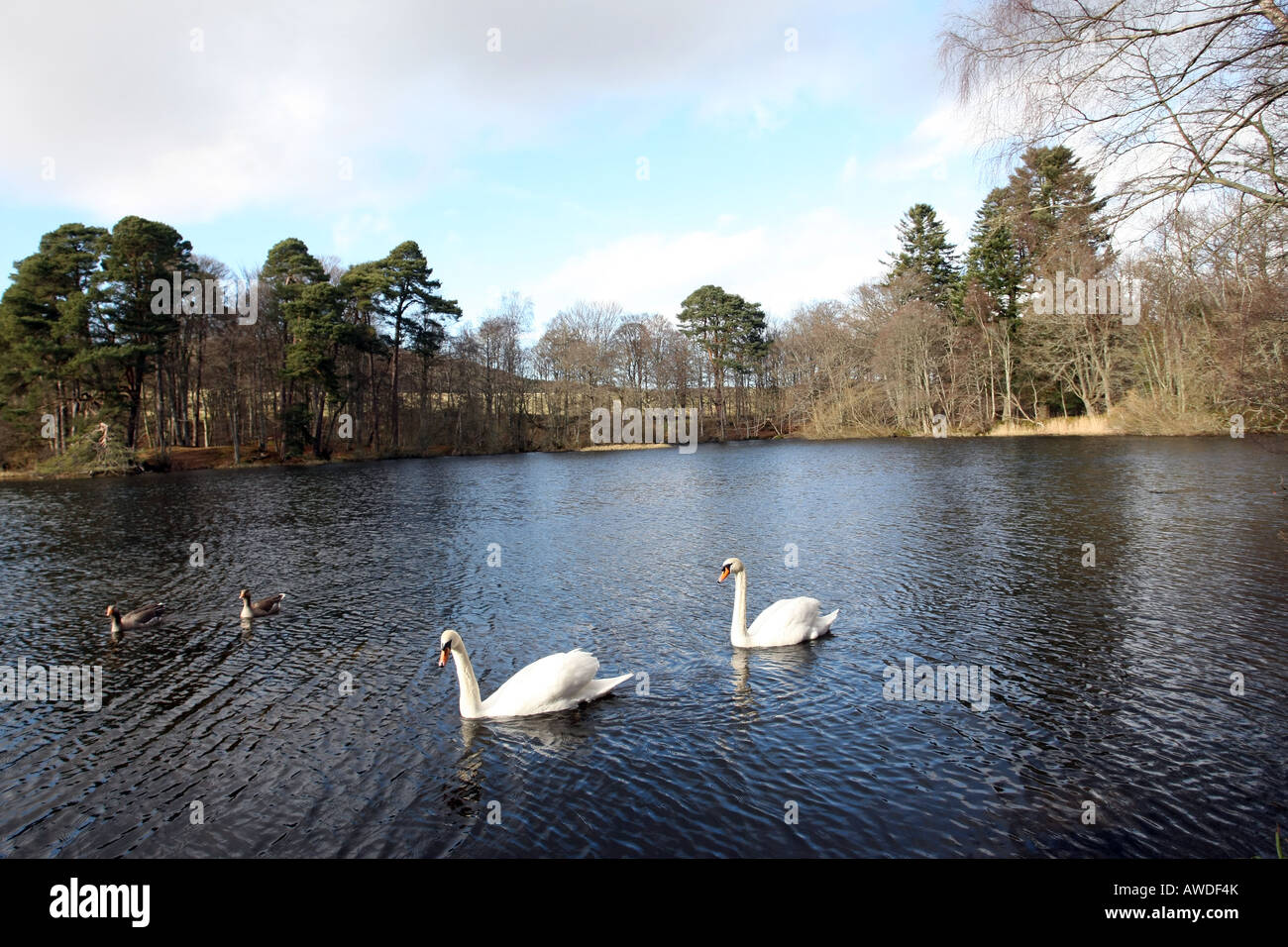 Clyn's Dam near the village of Monymusk in Aberdeenshire, Scotland, UK ...