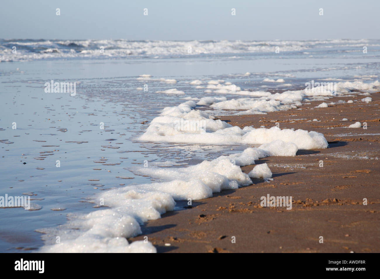 Seascape of Northsea beach, the Netherlands Europe Stock Photo - Alamy