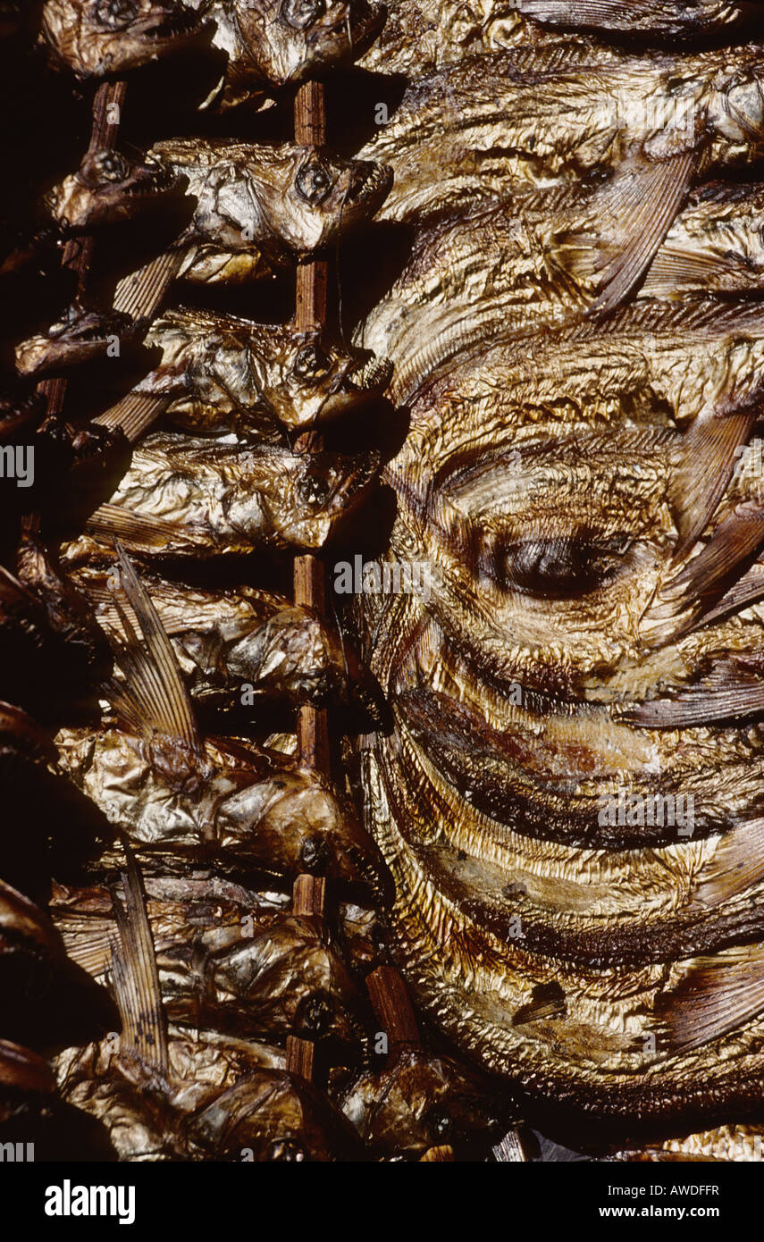 Dried fish, Ko Samui, Thailand Stock Photo - Alamy