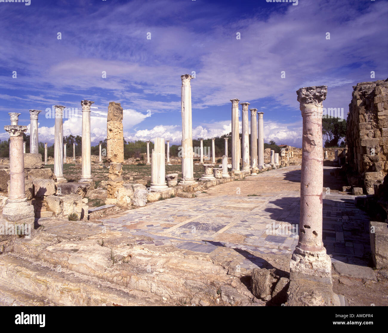 North Cyprus - Ancient Roman remains at Salamis Stock Photo - Alamy