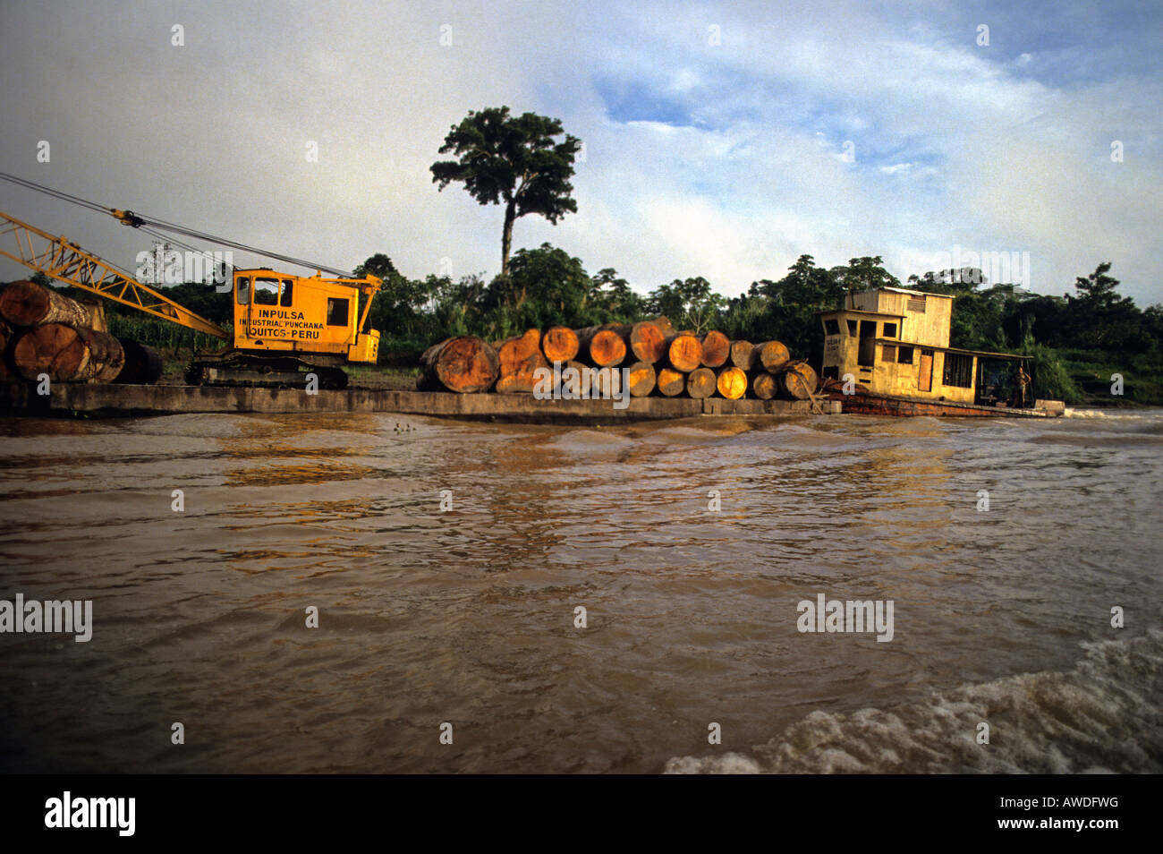 Tropical logs to be used for plywood and planks float down Amazon river ...