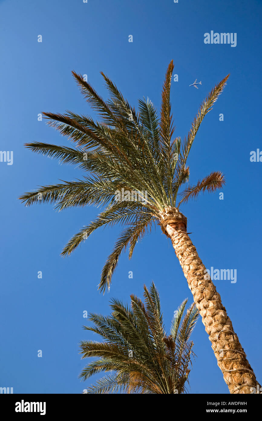 Transportation aircraft tree nature hi-res stock photography and images ...