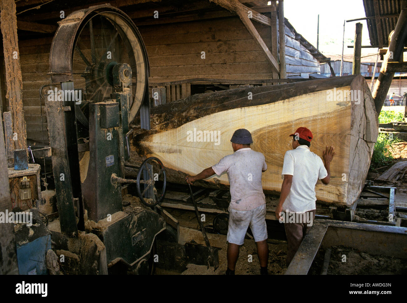 Sawing tropical logs to be used for plywood and planks, Peru Stock ...