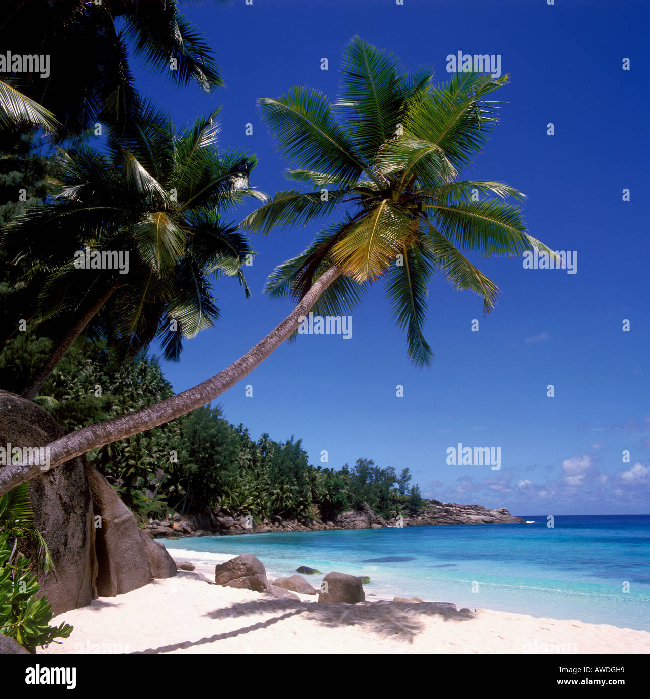 Seychelles, Mahe, Anse Intendance, Unspoiled tropical beach Stock Photo ...