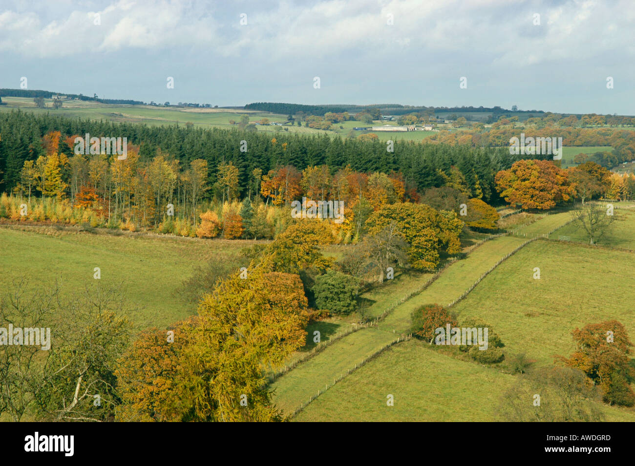 Ilton masham yorkshire uk hi-res stock photography and images - Alamy