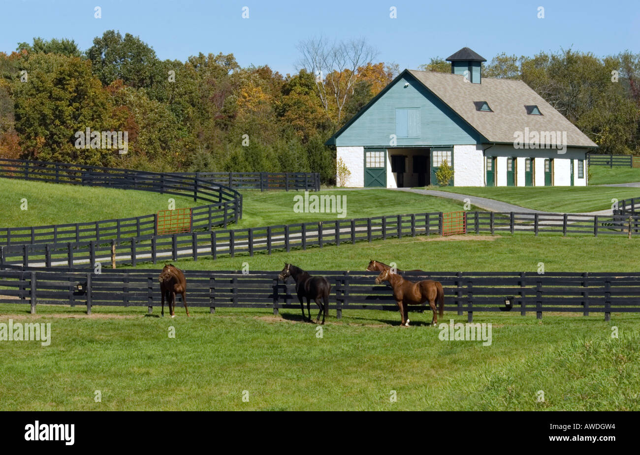 Horse Farm in the Hudson Valley, New York Stock Photo - Alamy