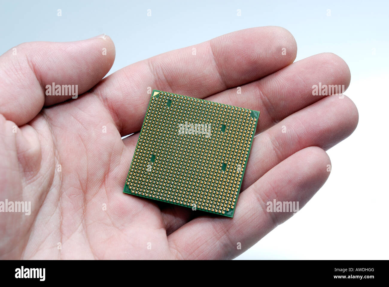 Computer processor detail close up in man hand Stock Photo - Alamy