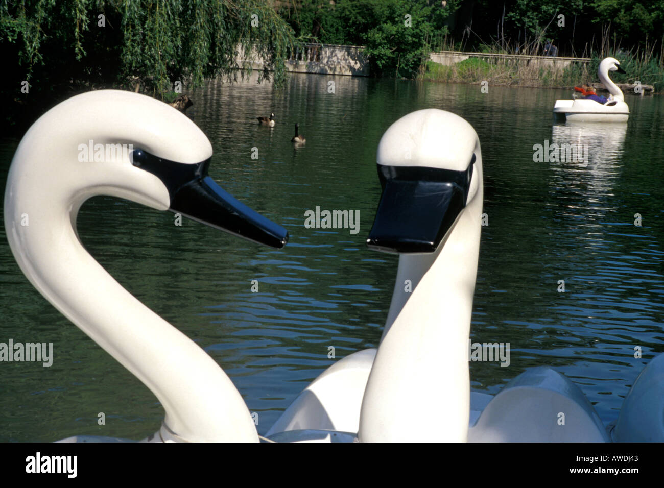 Zoo normal hi-res stock photography and images - Alamy