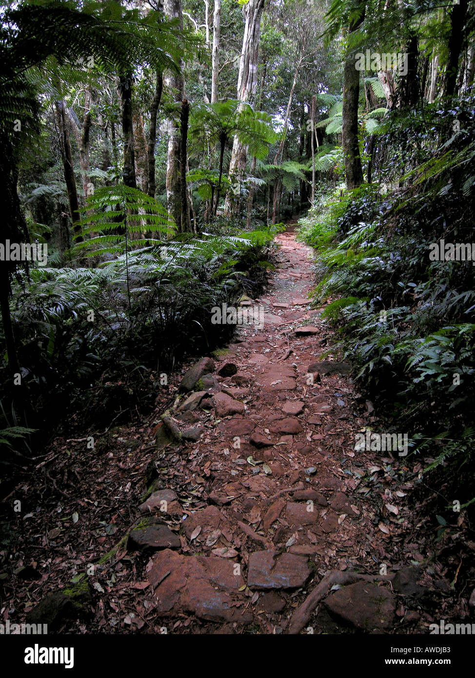 Mount warning national park australia hi-res stock photography and ...