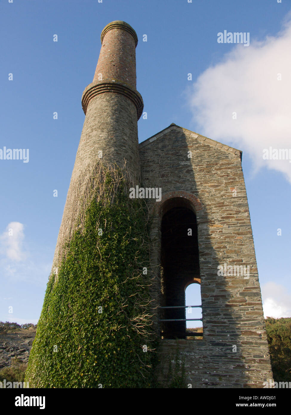 Cornish Engine House with growth of ivy Stock Photo - Alamy
