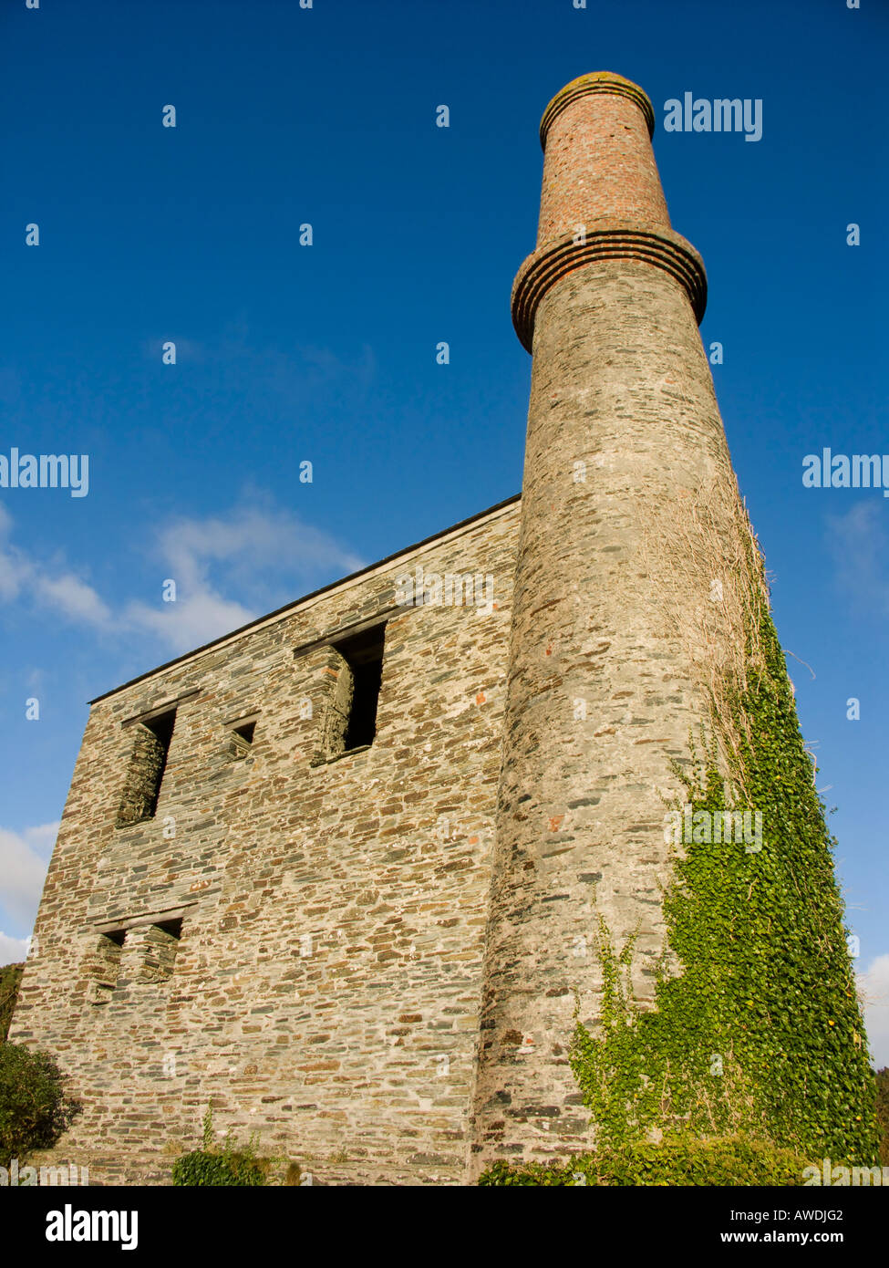 Cornish Engine House with growth of ivy Stock Photo - Alamy