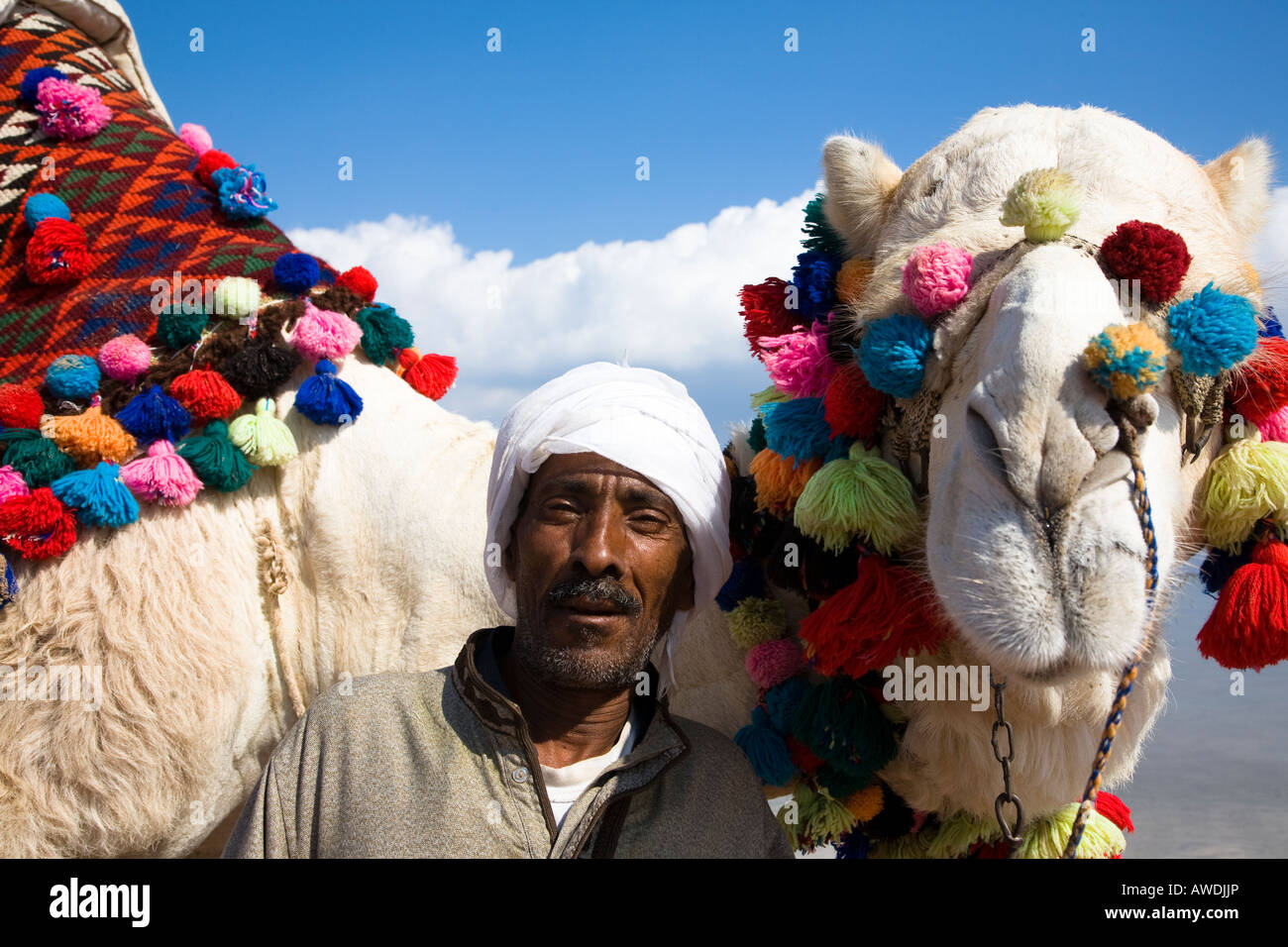 Egypt beach camel man egyptian hi-res stock photography and images - Alamy