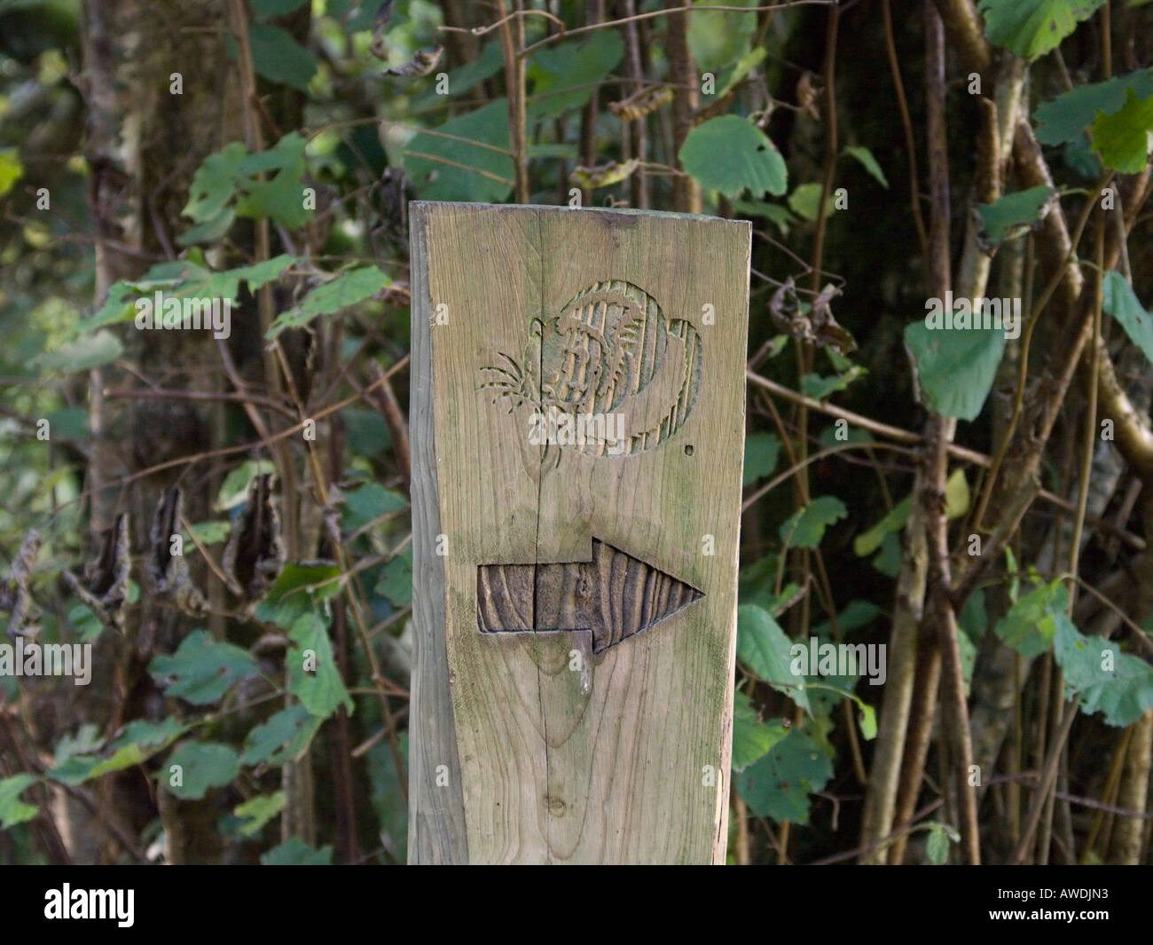 Carved mouse hi-res stock photography and images - Alamy