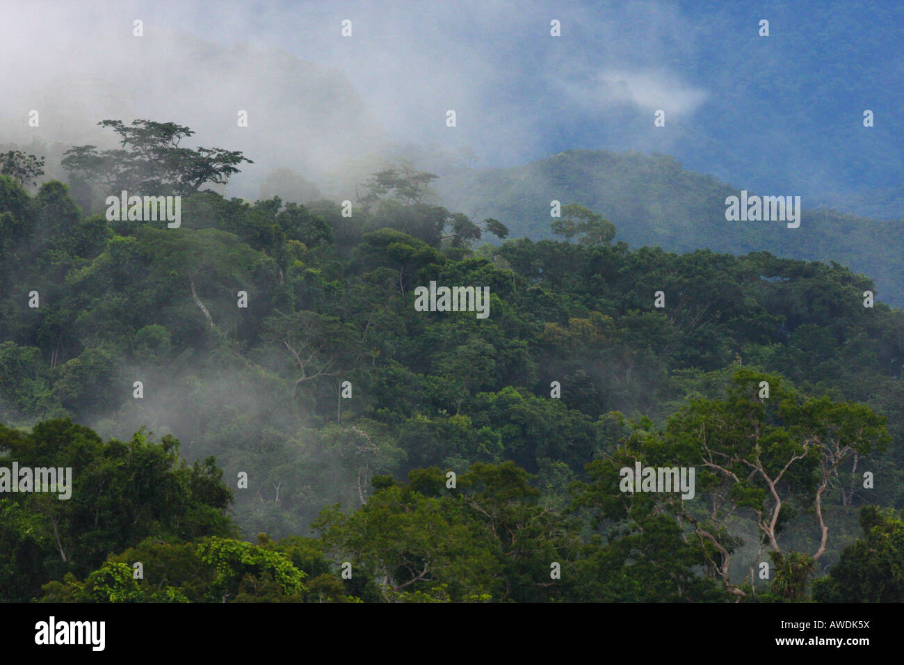 Amazon rain forest landscape hi-res stock photography and images - Alamy