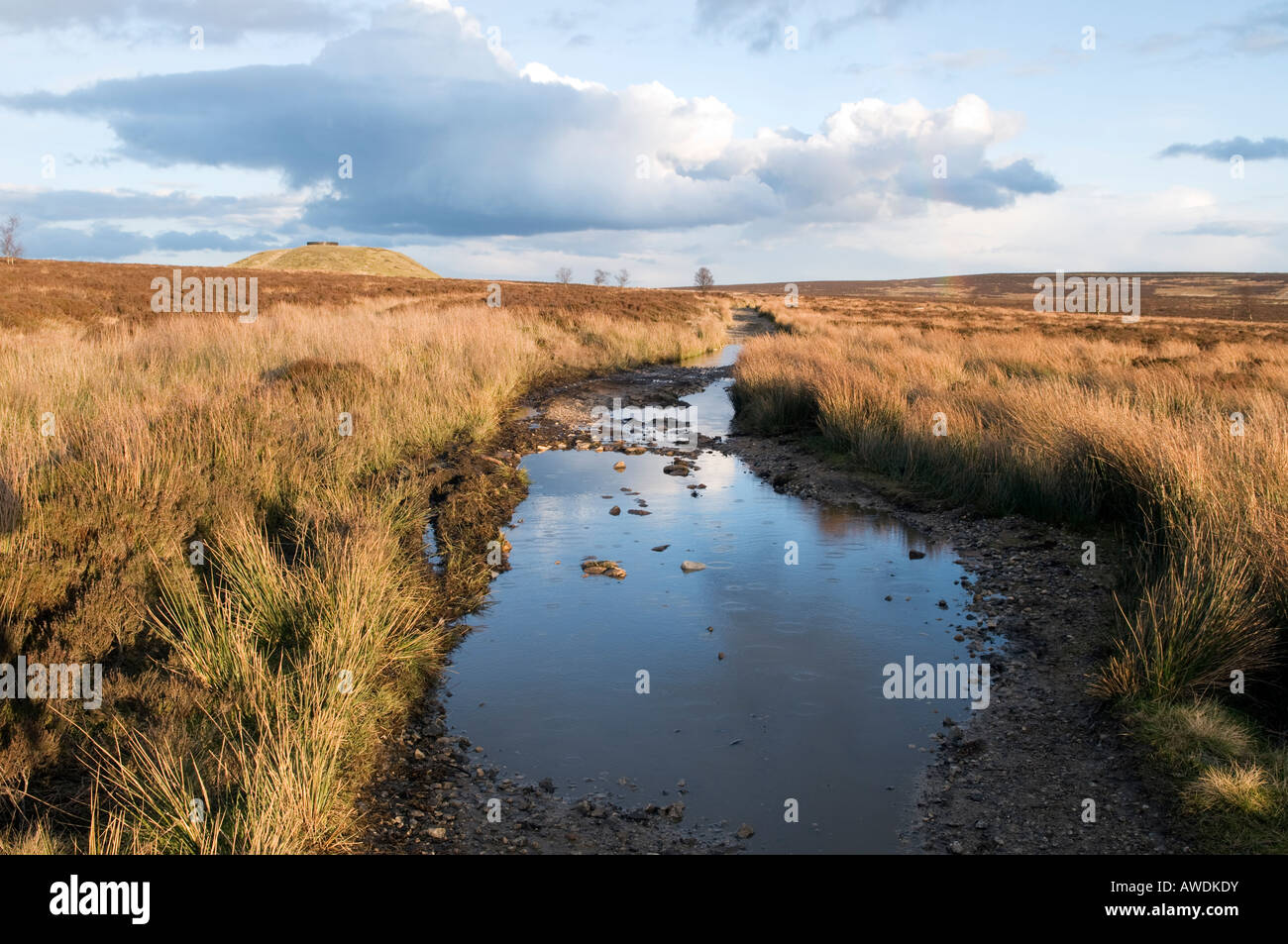 "Moss Road" a threatened Public Bridleway at Totley Moss in Derbyshire ...