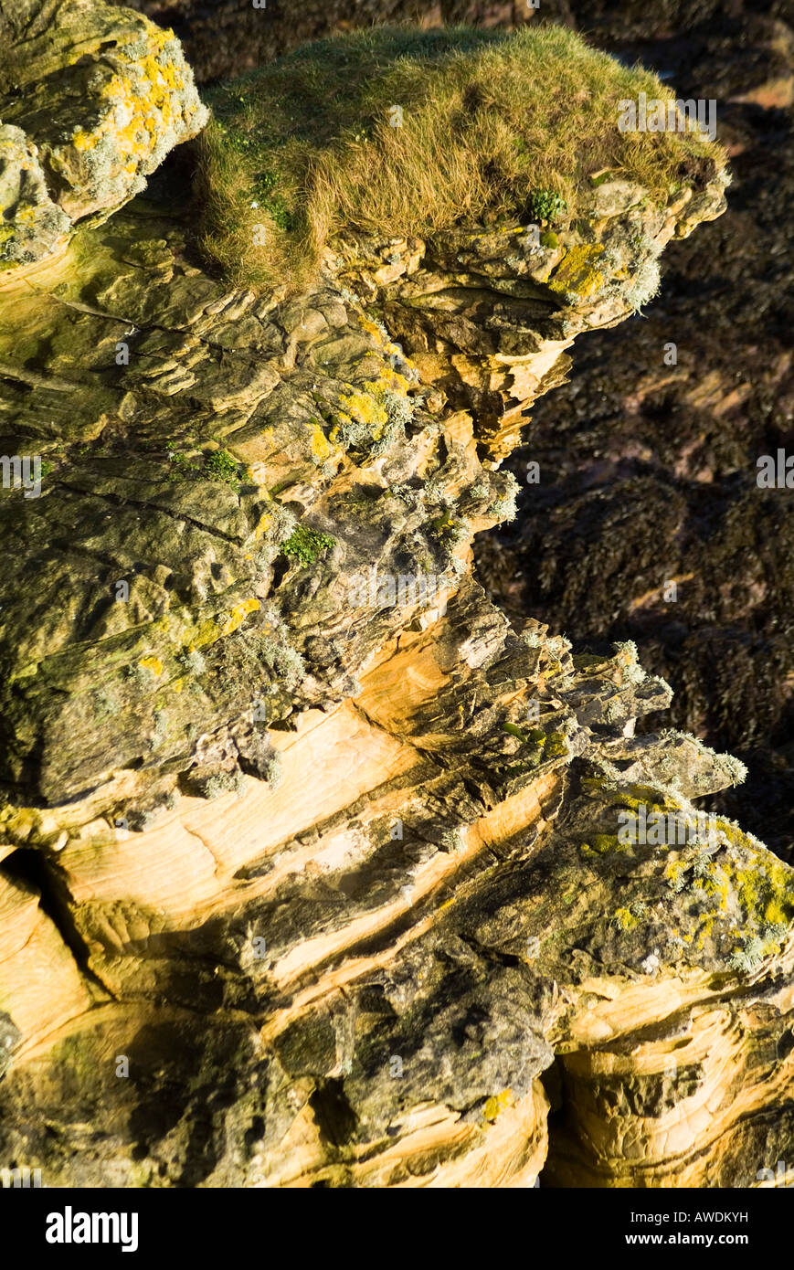 dh COASTAL CORROSION UK Worn sandstone cliffs with overhanding clifftop ...