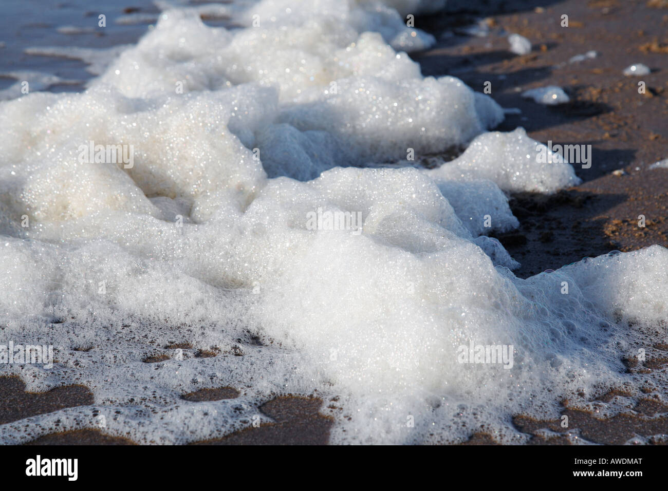 Algal foam on beach hi-res stock photography and images - Alamy