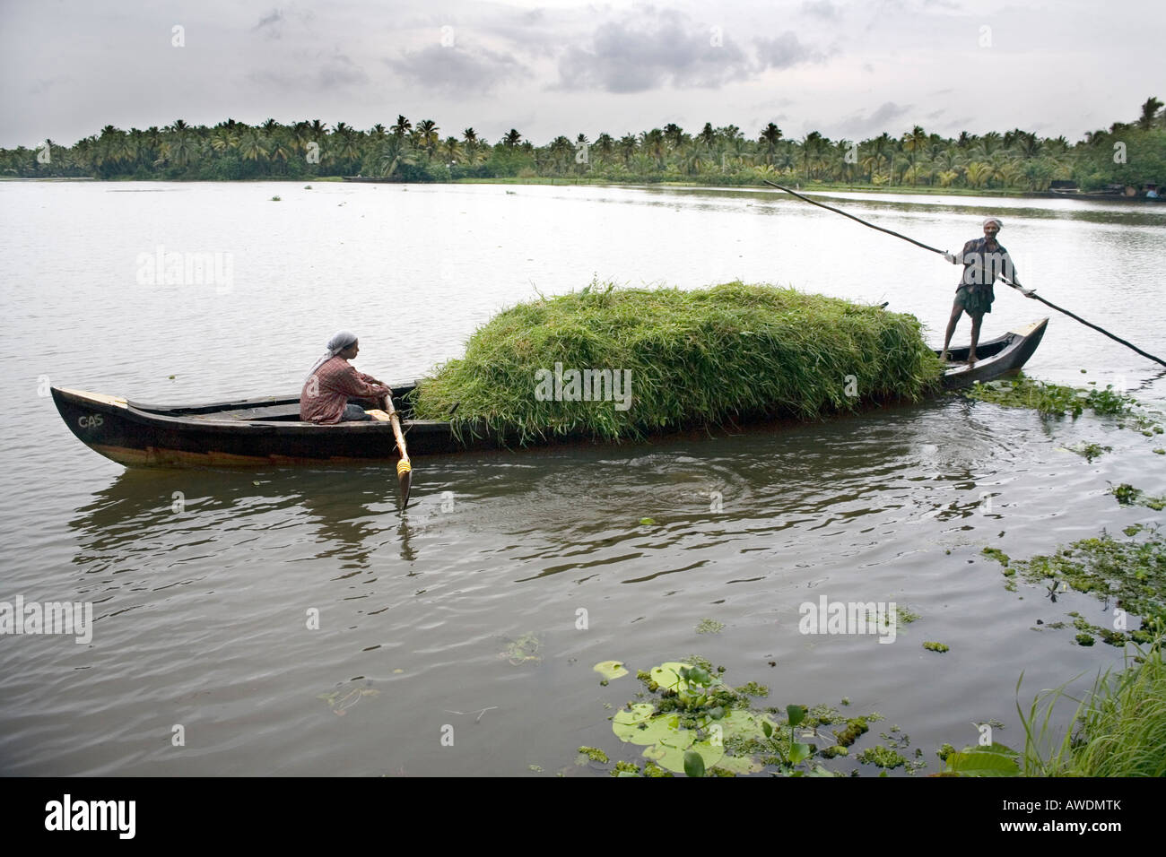 Rural Keralite couple plying a traditional wooden canoe vanchi with ...