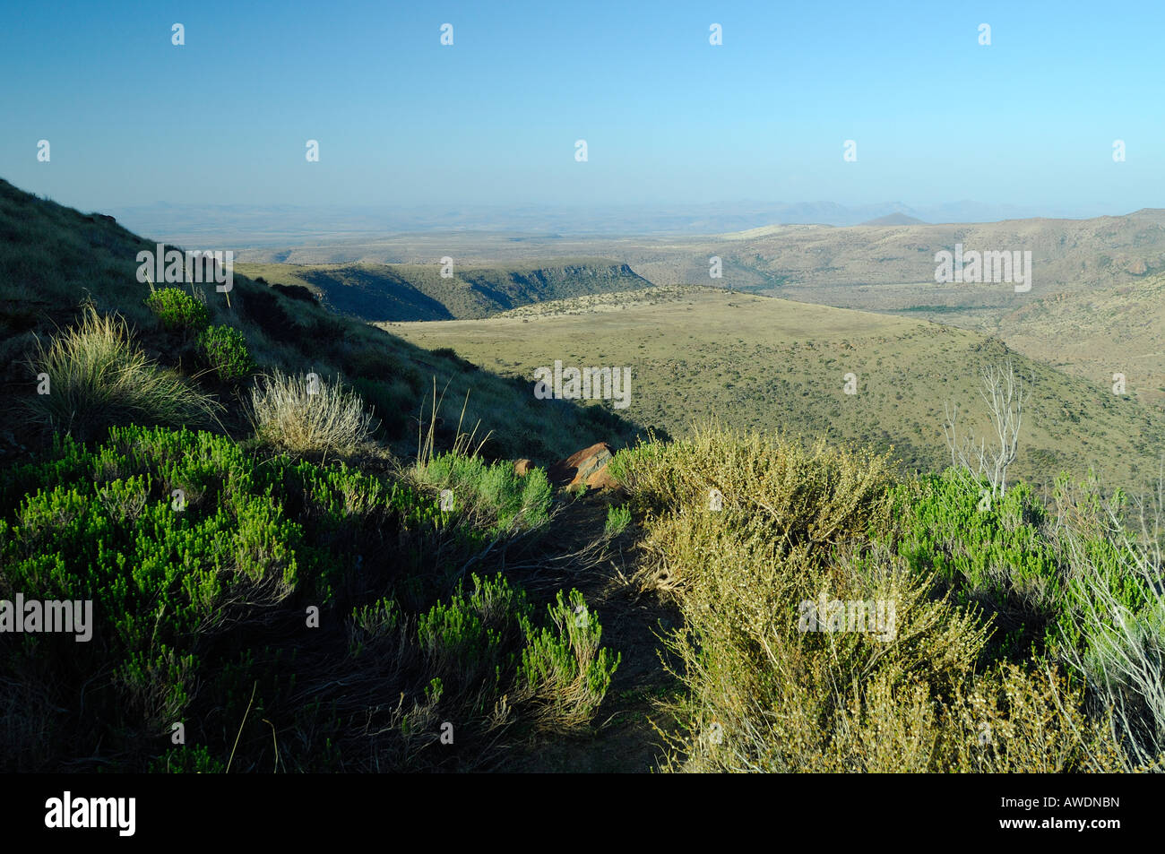 South Africa Karoo Mountain Zebra National Park Stock Photo - Alamy