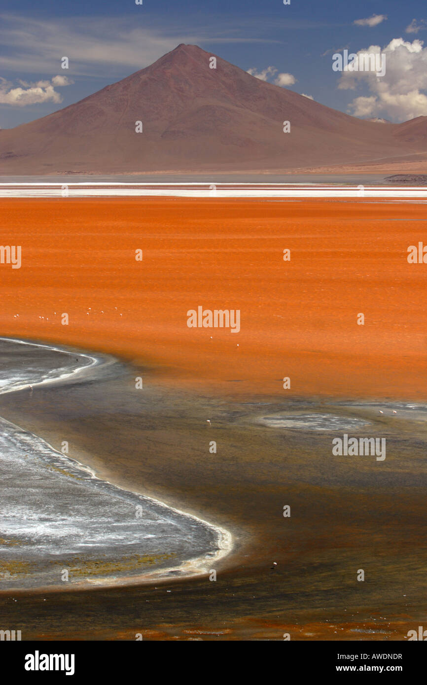 The red water of Laguna Colorado, (Colored Lake) in the Altiplano of ...