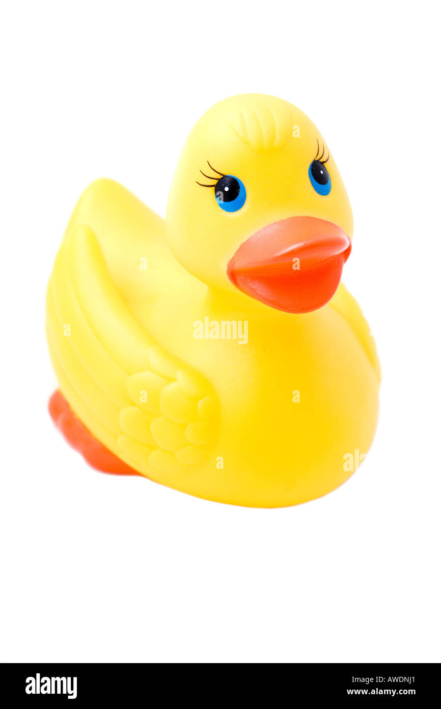 Squeaky duck hi-res stock photography and images - Alamy