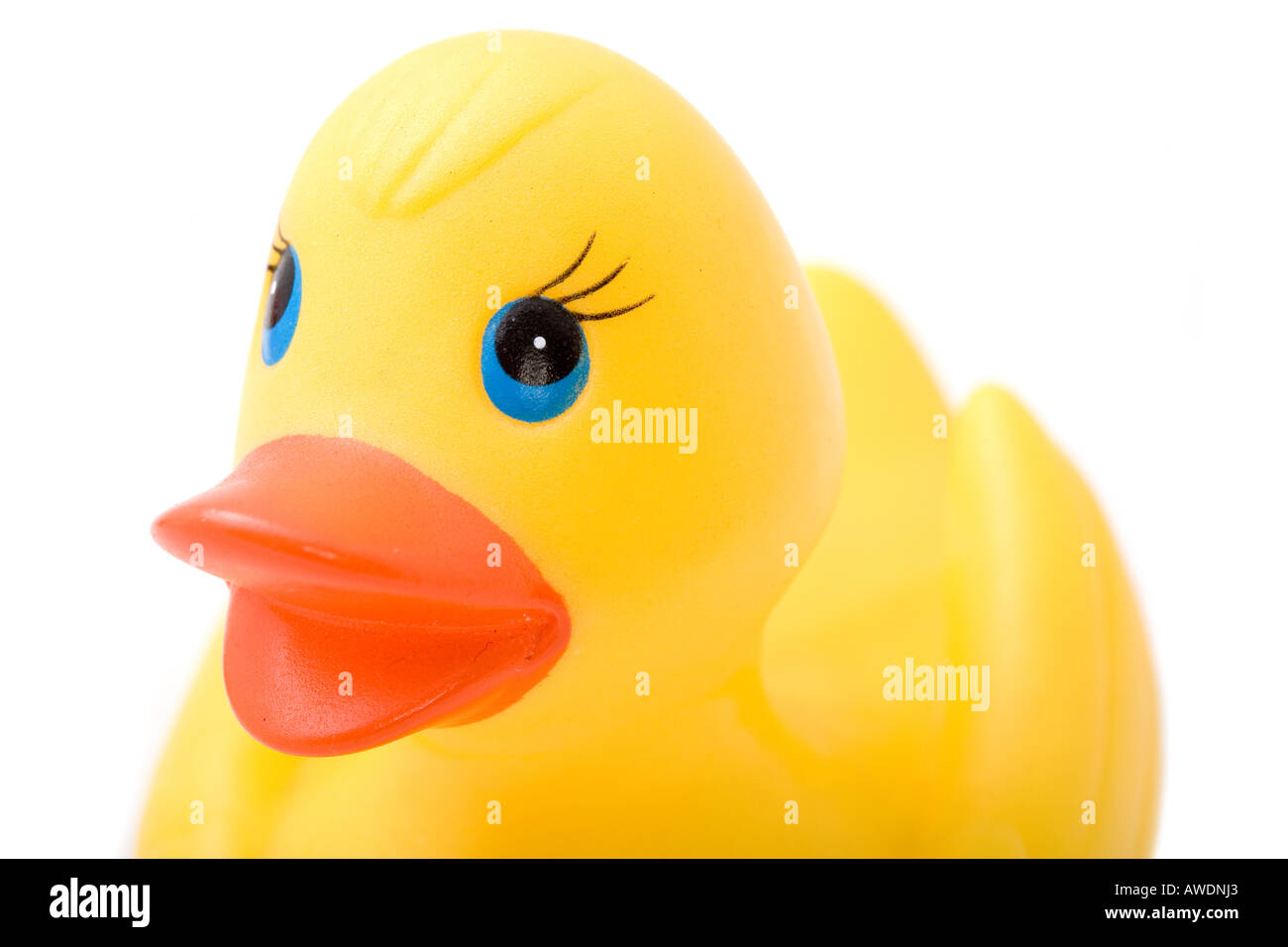 Squeaky rubber duck hi-res stock photography and images - Alamy