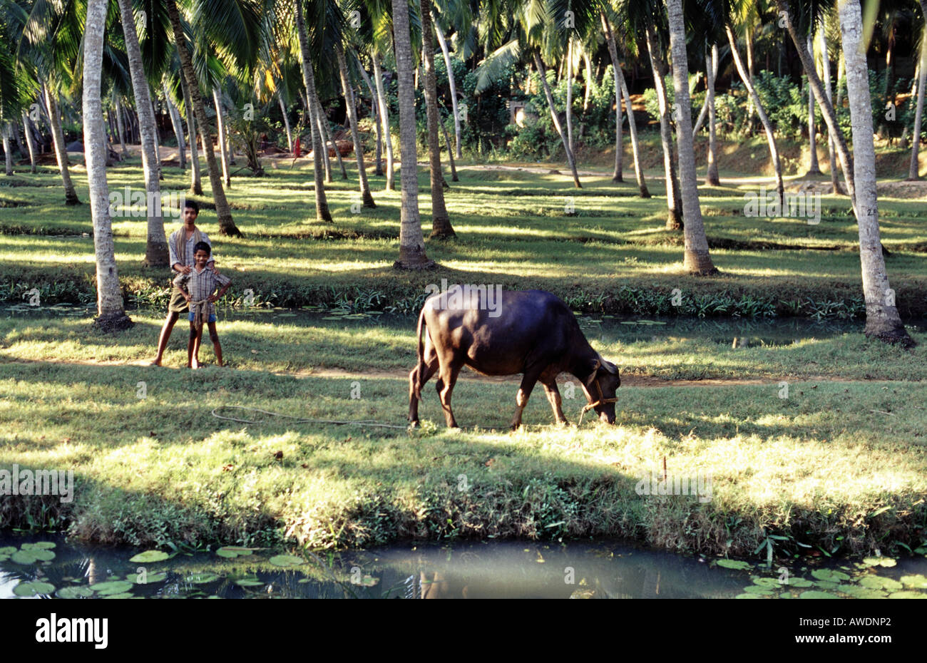 Scene in Poovar in the state of Kerala in the south of India Stock ...