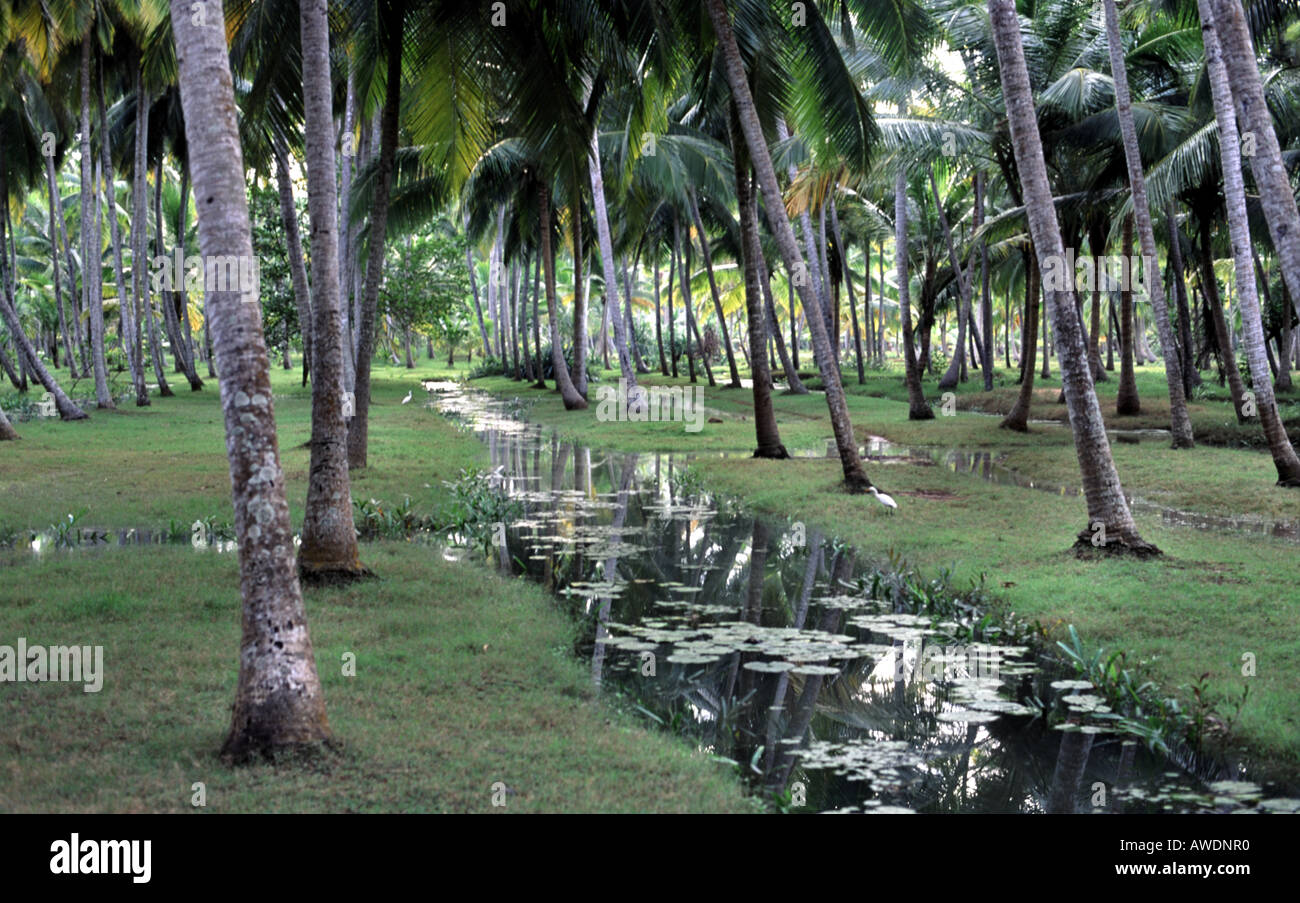 India Irrigation Channel High Resolution Stock Photography and Images ...