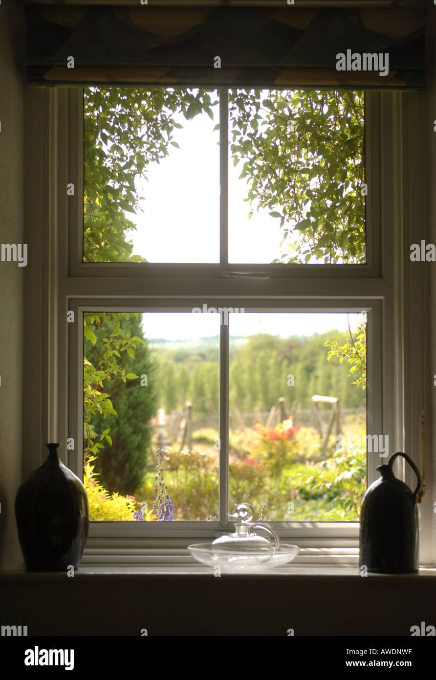 A WINDOW OVERLOOKING A VINEYARD UK Stock Photo - Alamy
