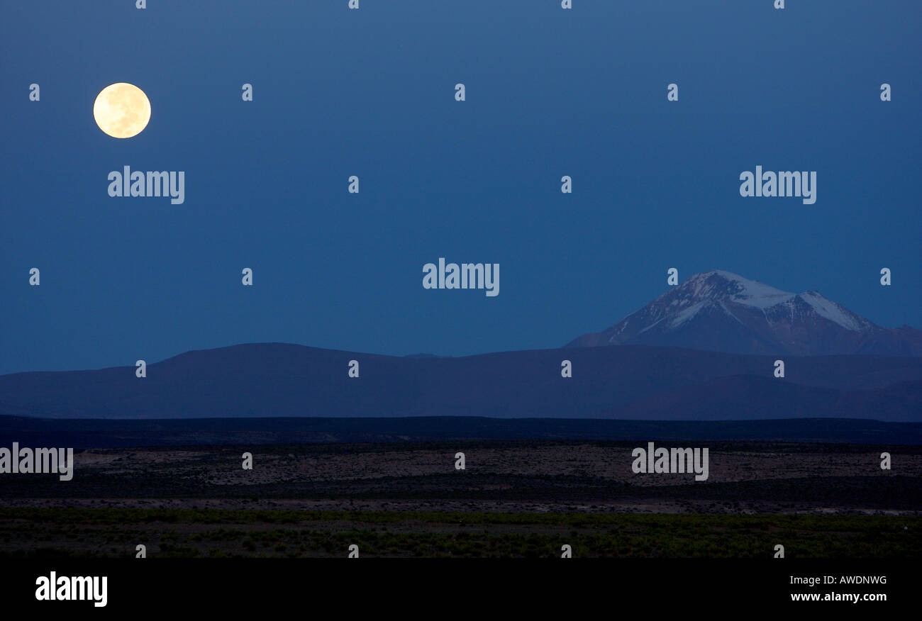 Altiplano andes hi-res stock photography and images - Alamy