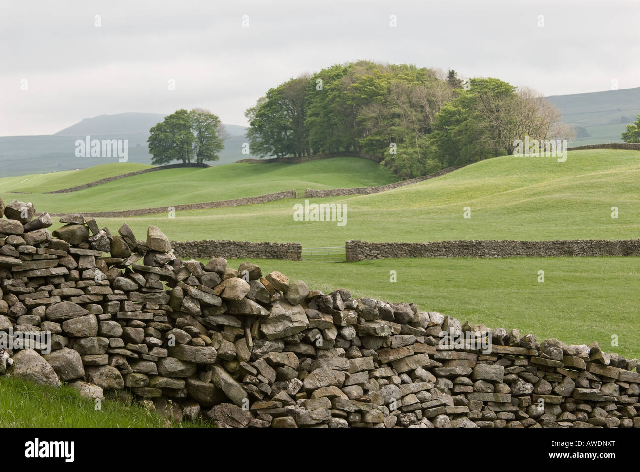 dry stone wall meadow Stock Photo - Alamy