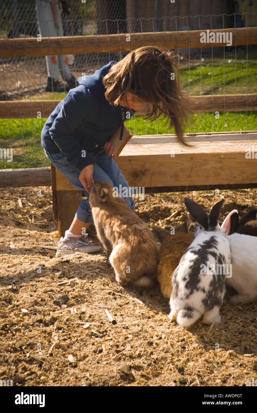 five year old girl feeding rabbits Stock Photo - Alamy