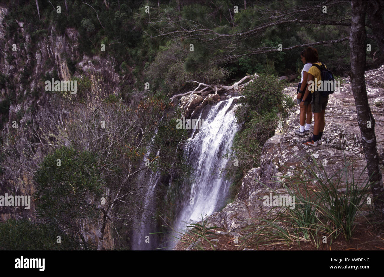 Tourists looking at a waterfall, Barron Gorge National Park, Queensland ...
