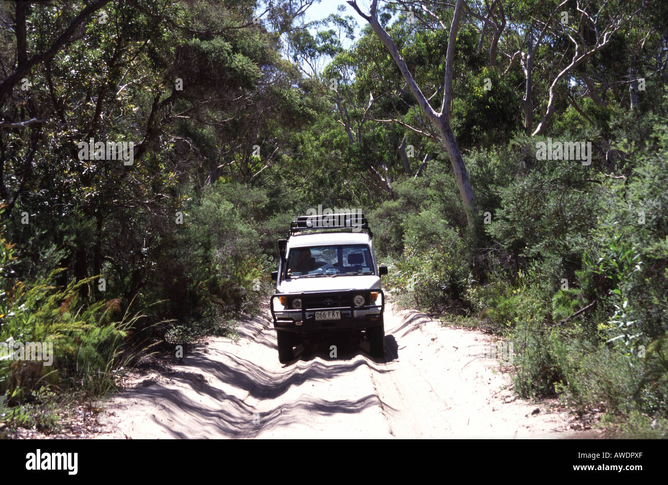 Sandy track, Moreton Island, Queensland, Australia Stock Photo - Alamy